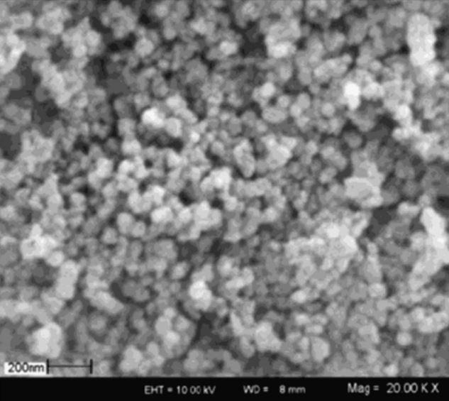 Calcium Hydroxide Nanoparticles High Purity Less Price Fast Delivery